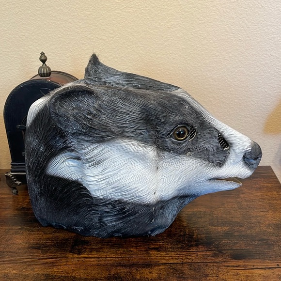 Other | Badger Mask | Poshmark
